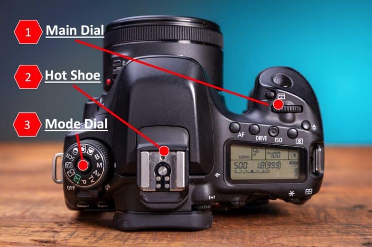 Camera Basics: Learn Your Camera Step-by-Step - KewlTek Photography | Learn Photography Fast