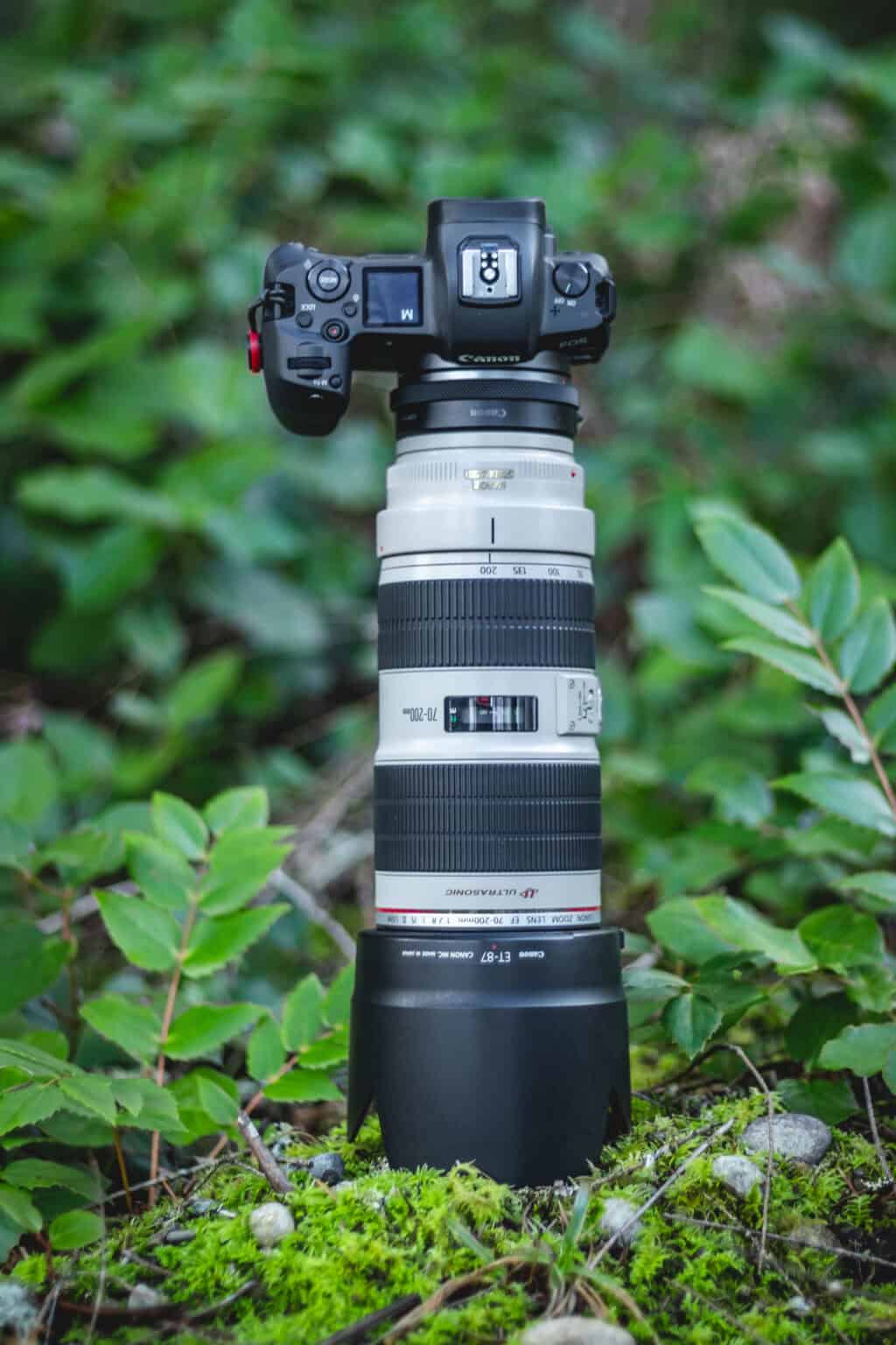 Which Camera Lens Should You Use? A Beginner's Guide - KewlTek Photography