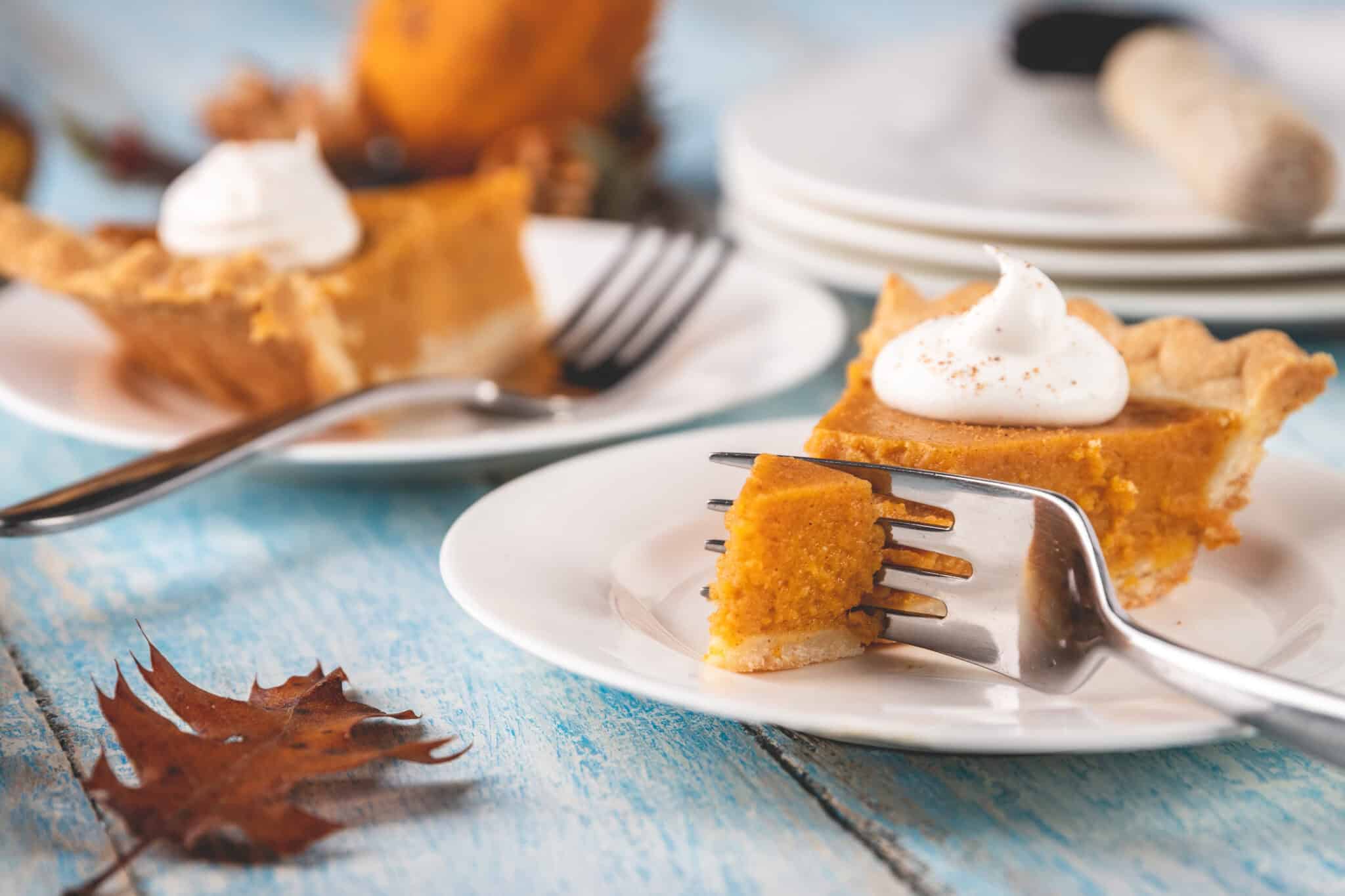 5 Food Photography Basics Every Beginner Must Know - KewlTek Photography